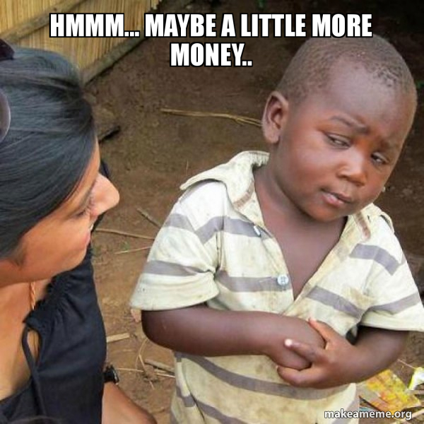 Hmmm... Maybe a little more money.. - Skeptical Third World Kid Meme ...