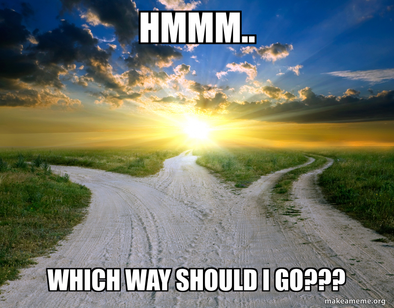 Hmmm.. which way should i go??? Meme Generator