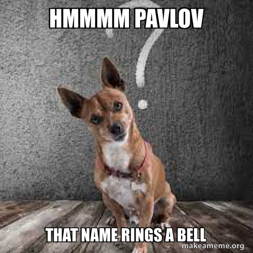 Hmmmm pavlov That name rings a bell Meme Generator