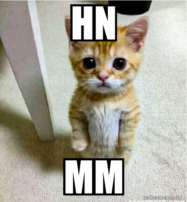 Hn Mm - Cute Cat Standing Meme Generator