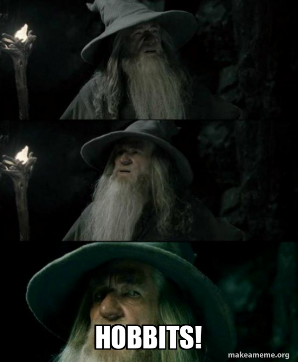 Hobbits! - Confused Gandalf Meme Generator