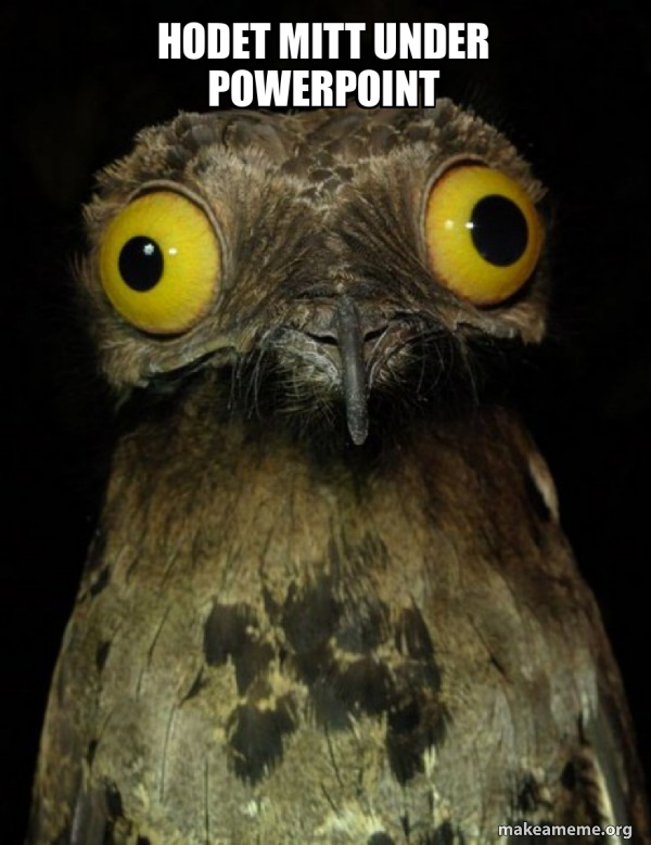 hodet mitt under powerpoint - Weird Stuff I do Potoo Meme Generator