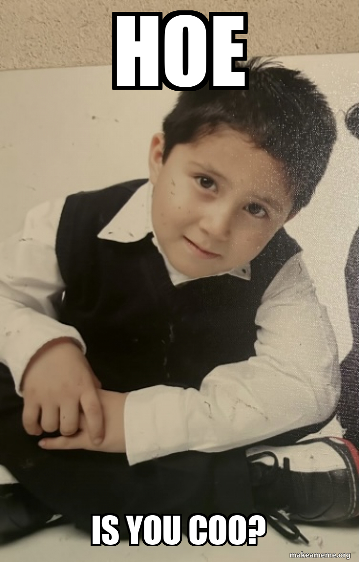 HOE is you coo? Meme Generator