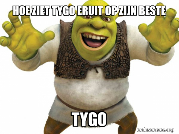 hoe ziet tygo eruit op zijn beste tygo - Shrek Meme Generator