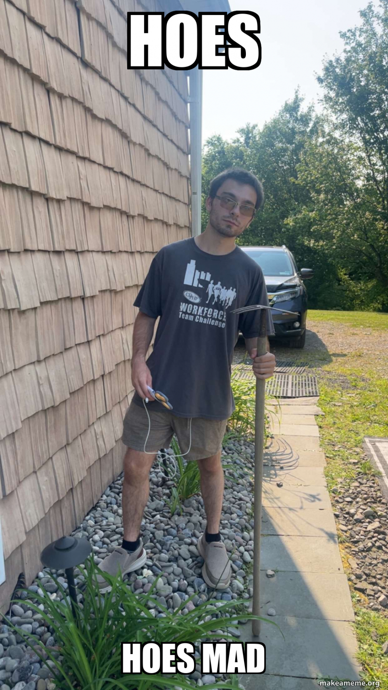 HOES HOES MAD Meme Generator