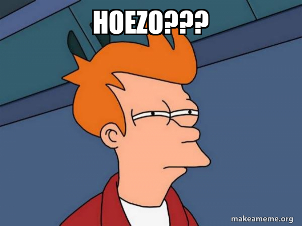 Hoezo??? - Futurama Fry Meme Generator