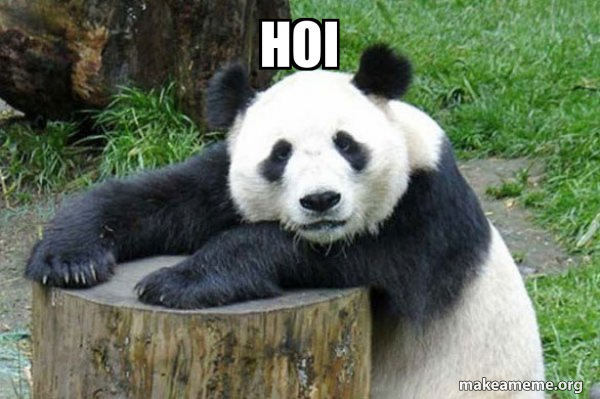 hoi - Confession Panda Meme Generator