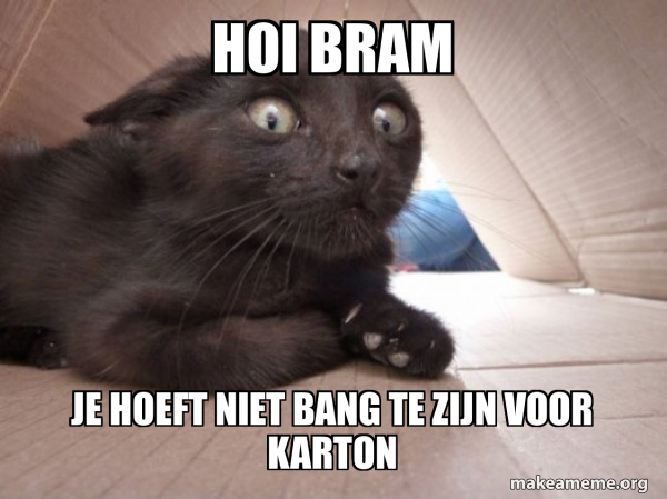 hoi bram je hoeft niet bang te zijn voor karton - Schitzo Cat Meme ...
