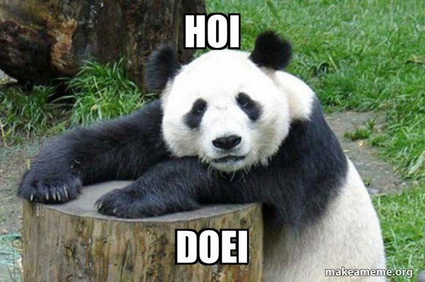 Hoi Doei - Confession Panda Meme Generator