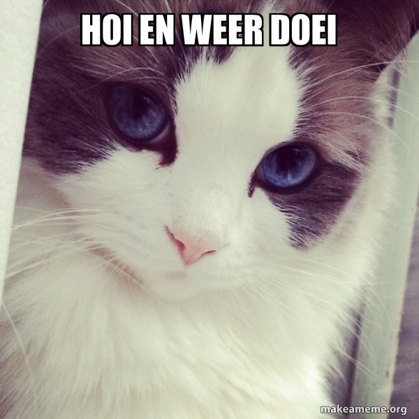 hoi en weer doei - Ridiculously Photogenic Cat Meme Generator