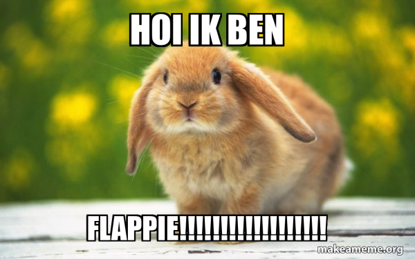 Hoi ik ben Flappie!!!!!!!!!!!!!!!!!! - Regretful Rabbit Meme Generator