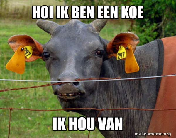 hoi ik ben een koe ik hou van - Hairless Cow Meme Generator