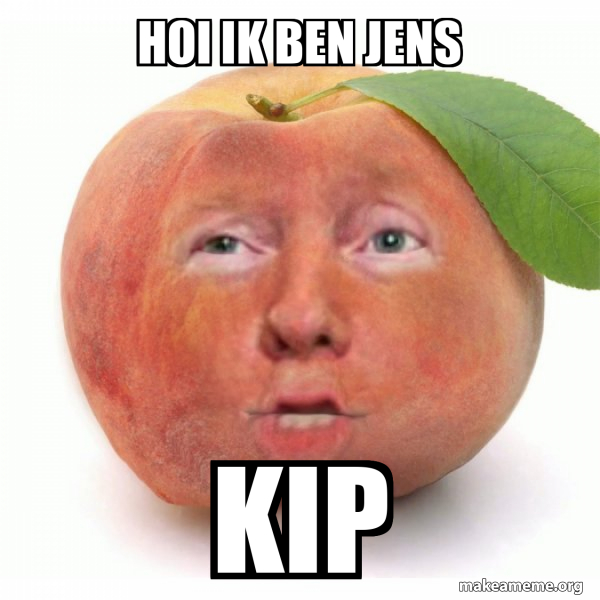 hoi ik ben jens kip - Impeached Donald Trump Meme Generator