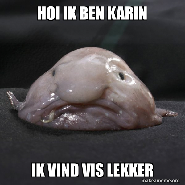 hoi ik ben karin ik vind vis lekker - Blobfish Meme Generator
