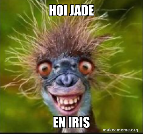 hoi jade en iris Meme Generator