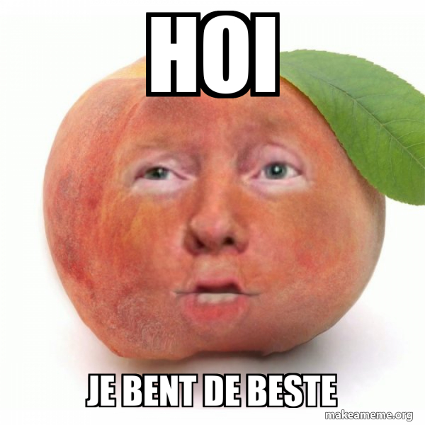 hoi je bent de beste - Impeached Donald Trump Meme Generator