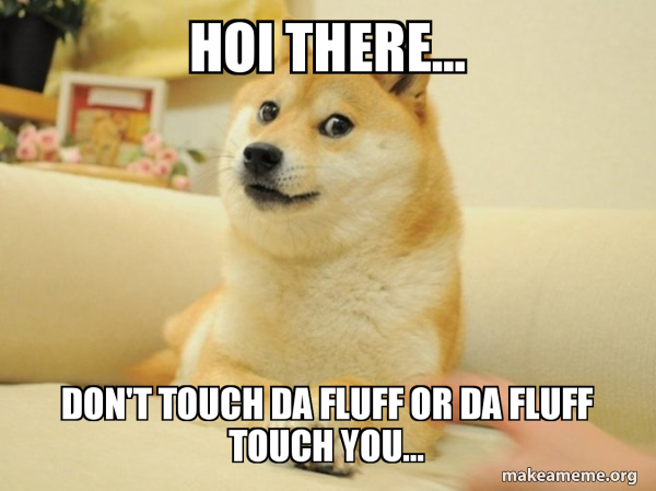 Hoi there... Don't touch da fluff or da fluff touch you... - Doge Meme ...