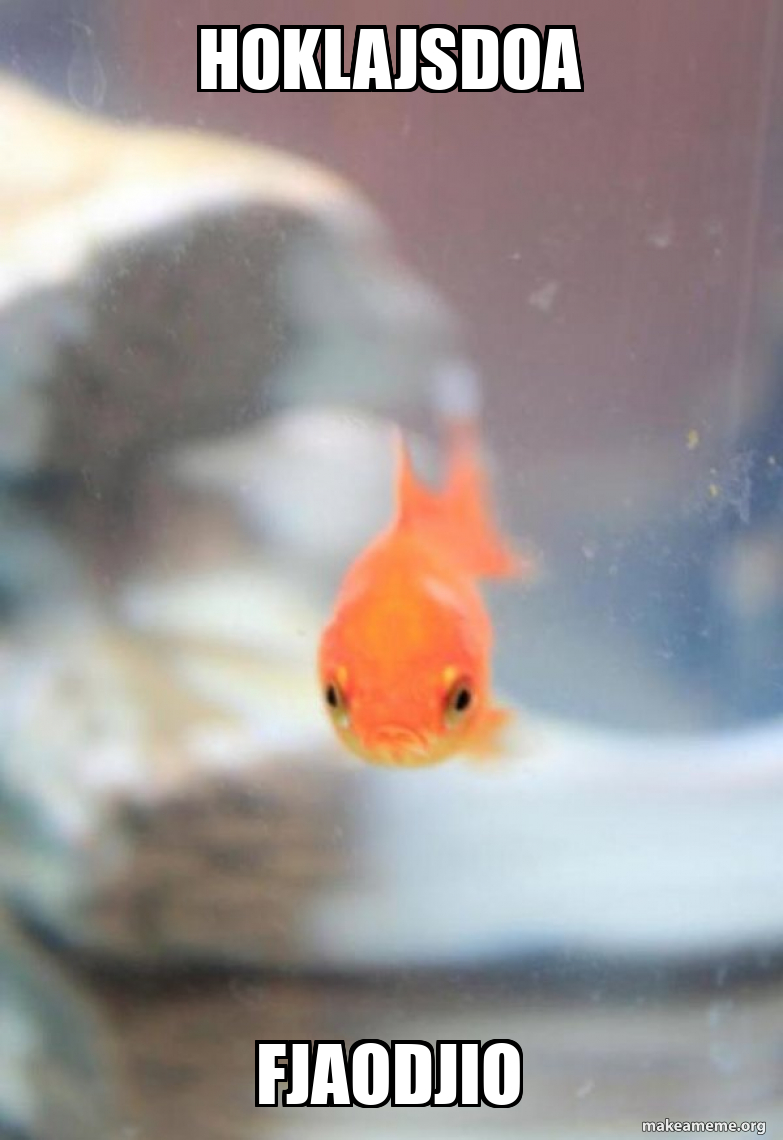 hoklajsdoa fjaodjio - Grumpy Fish Meme Generator