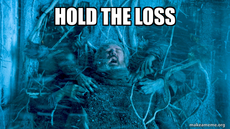 Hold the Loss Meme Generator