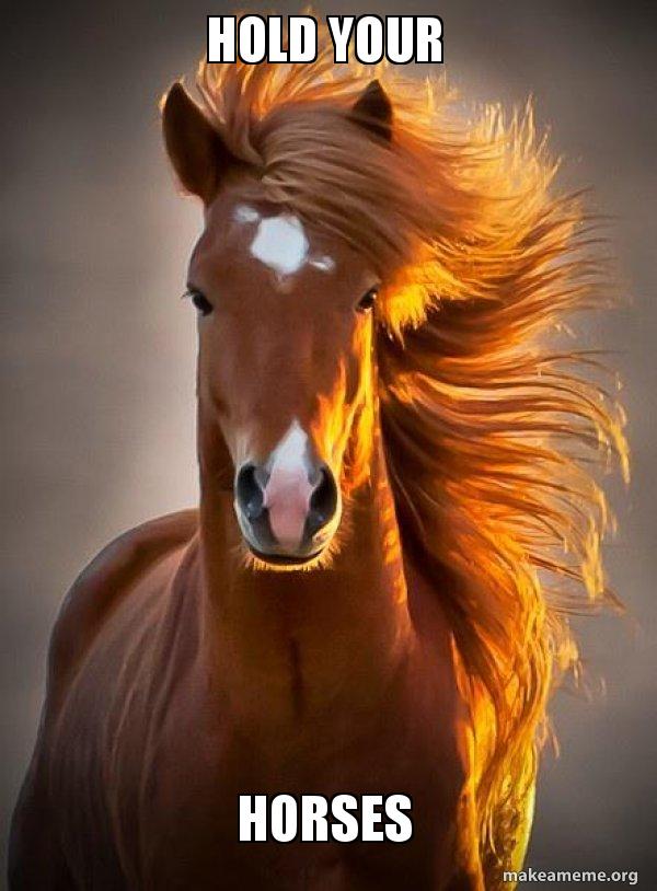 Hold Your Horses - Ridiculously photogenic horse Meme Generator