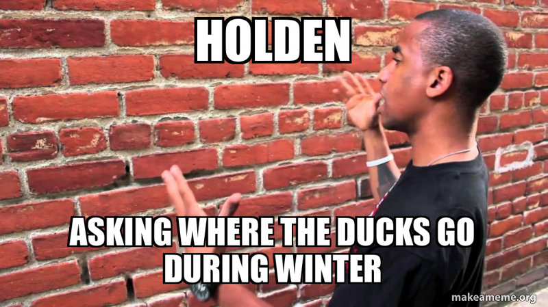 Holden ASKING WHERE THE DUCKS GO DURING WINTER Meme Generator