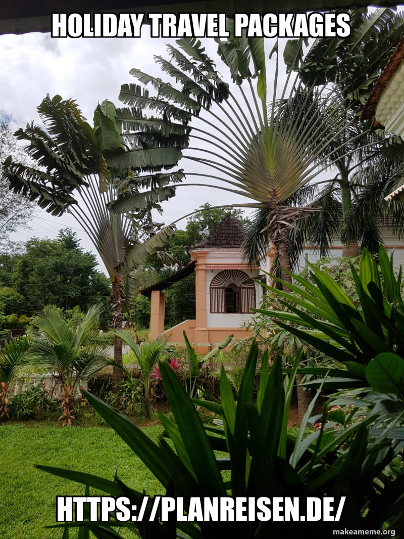 Holiday travel packages https://planreisen.de/ Meme Generator