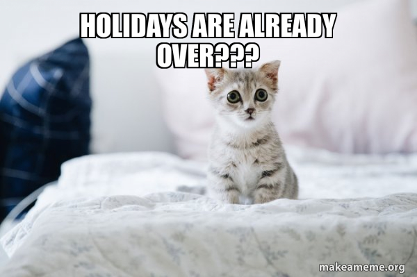 Holidays are already over??? - Cute Kitten Meme Generator
