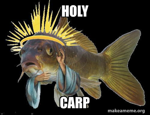 holy carp Meme Generator