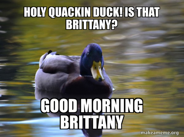 HOLY QUACKIN DUCK! IS THAT BRITTANY? GOOD MORNING BRITTANY - Zen Advice ...