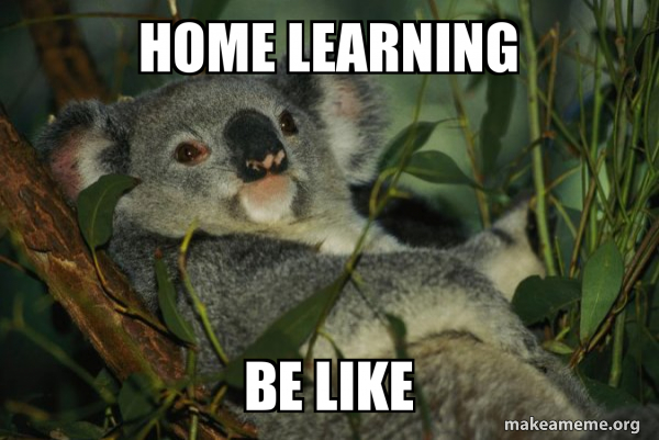home learning be like - Laid Back Koala Meme Generator