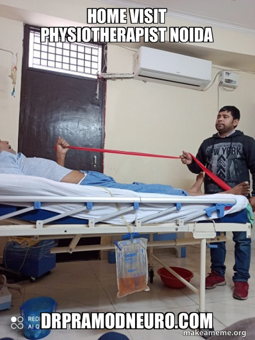 home visit Physiotherapist Noida drpramodneuro.com Meme Generator