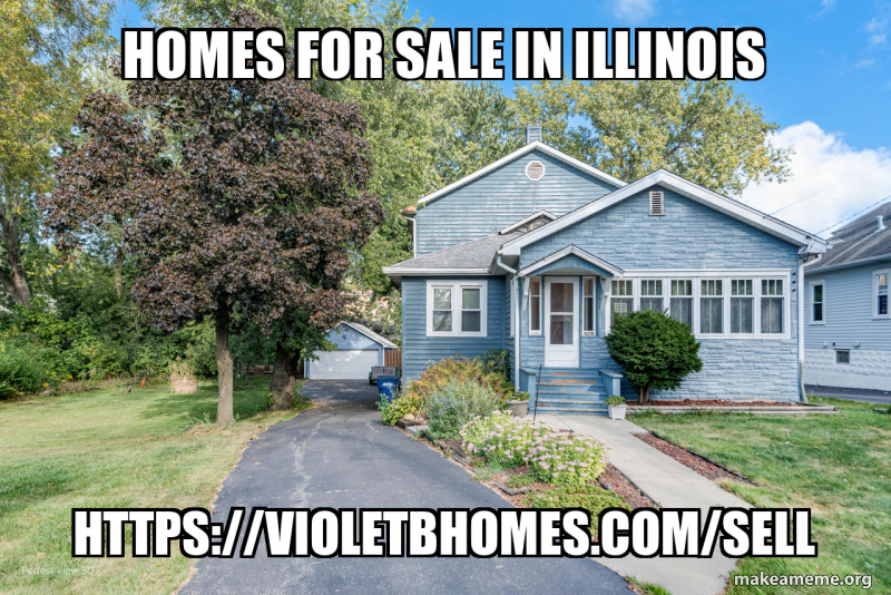 Homes for Sale in Illinois https://violetbhomes.com/sell Meme Generator