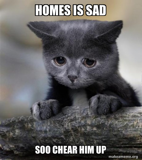 Homes is sad Soo chear him up - Confession Cat Meme Generator