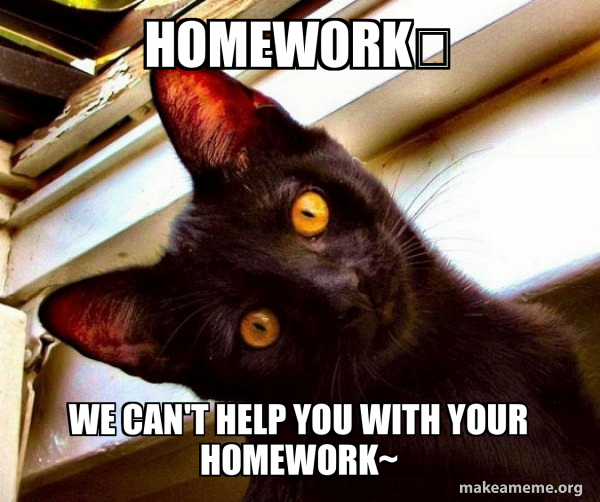 Homework？ We can't help you with your homework~ - Overly Attached Cat ...