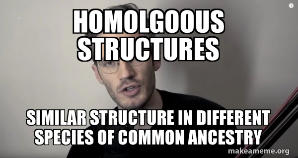 Homolgoous Structures Similar Structure in different species of common ...