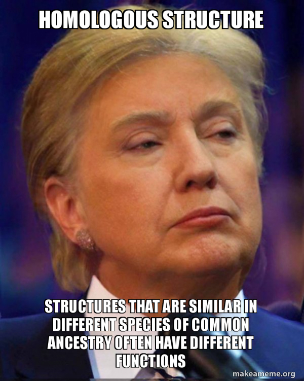 homologous structure structures that are similar in different species ...