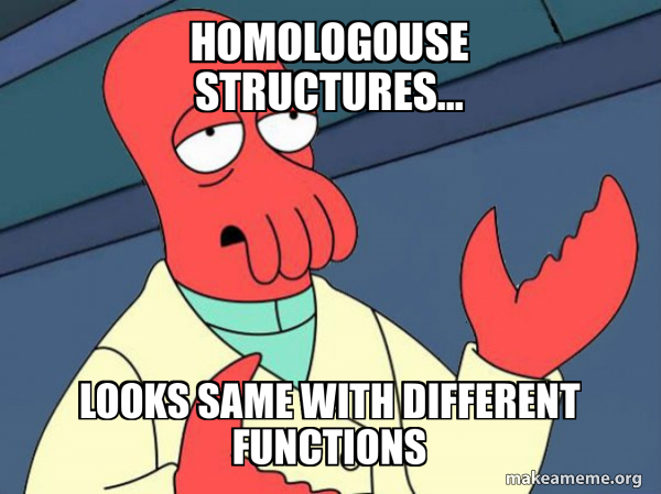 homologouse structures... looks same with different functions - Tricky ...
