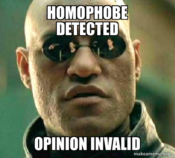 Homophobe detected opinion invalid - Matrix Morpheus Meme Generator