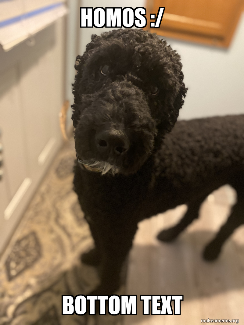 Homos :/ Bottom text Meme Generator
