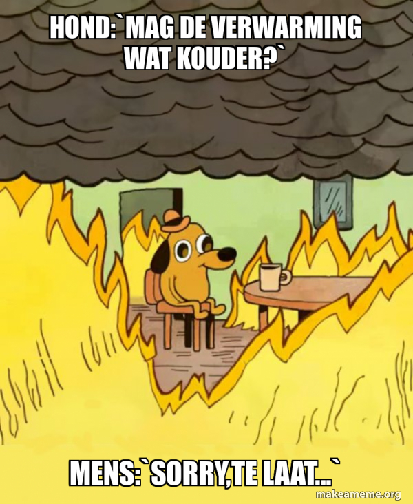 Feesttijd Hond Meme