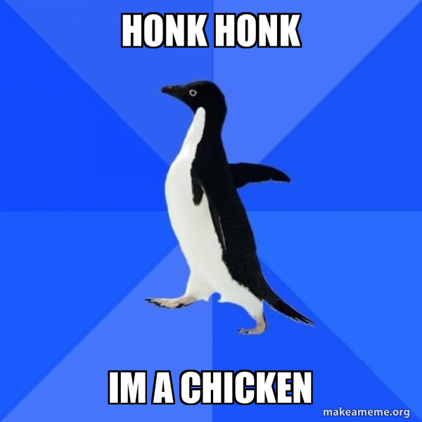 Honk honk Im a chicken - Socially Awkward Penguin Meme Generator
