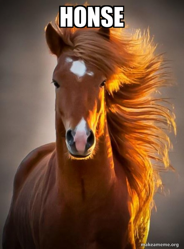 Honse - Ridiculously photogenic horse Meme Generator