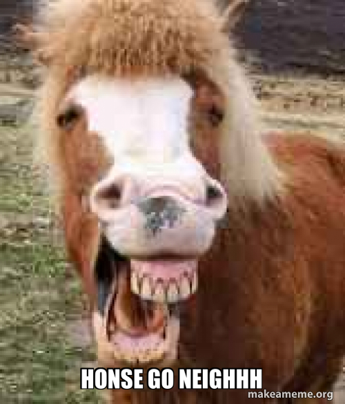 Honse go neighhh Meme Generator