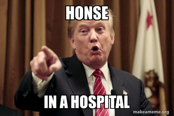 Honse In a Hospital - Donald Trump Says Meme Generator