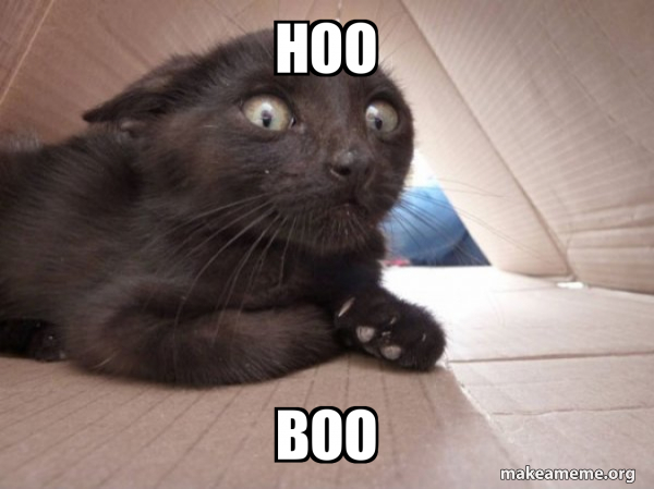 hoo boo - Schitzo Cat Meme Generator