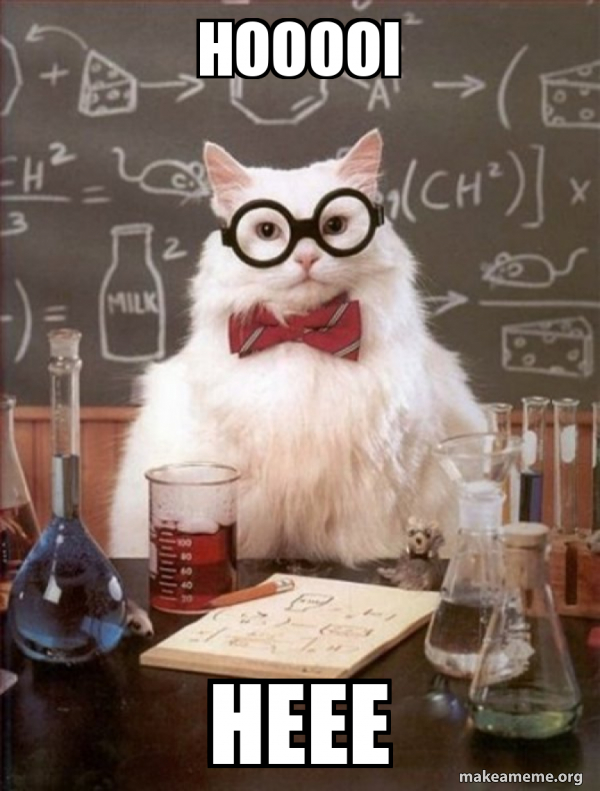 hooooi heee - Chemistry Cat Meme Generator