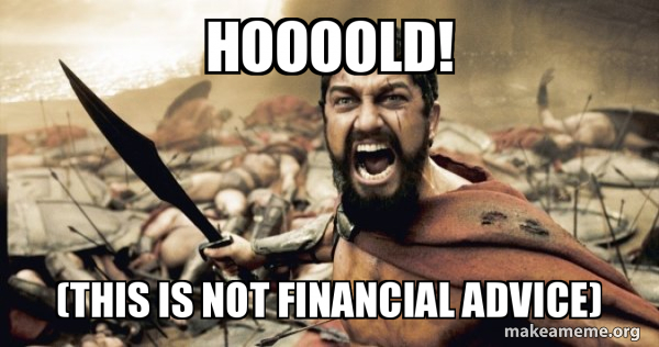 HOOOOLD! (THIS IS NOT FINANCIAL ADVICE) - The 300 Meme Generator