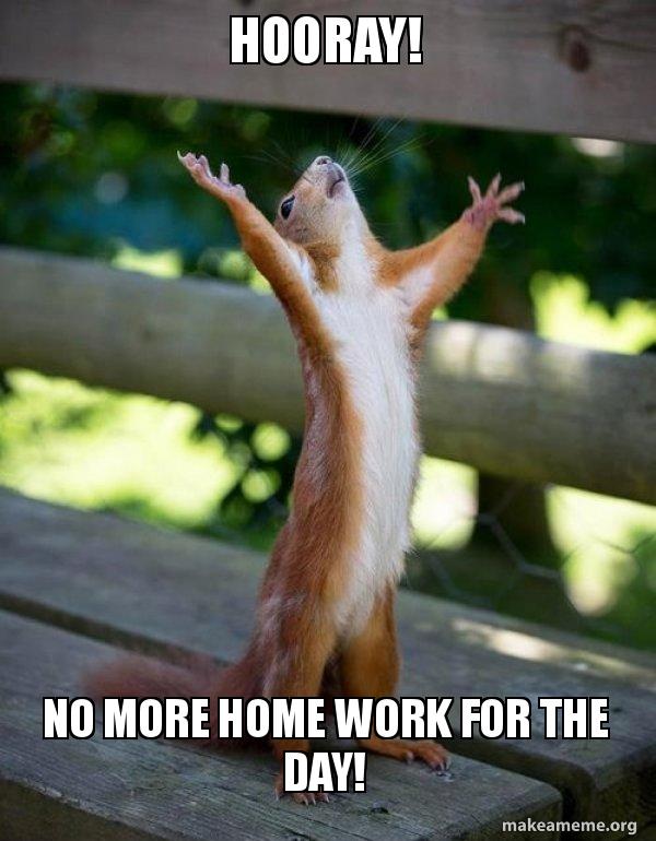 Hooray! No more home work for the day! - Happy Squirrel Meme Generator