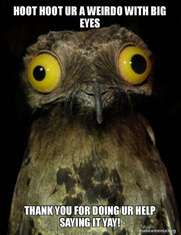 hoot hoot ur a WEIRDO WITH BIG EYES THANK YOU FOR DOING UR HELP SAYING ...