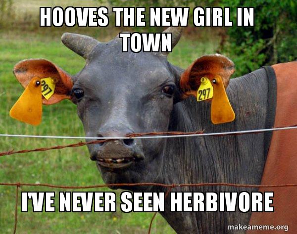 Hooves Memes Funny Horse Boot Wearing Hoof Picking Equestrian 2T 3T 4T